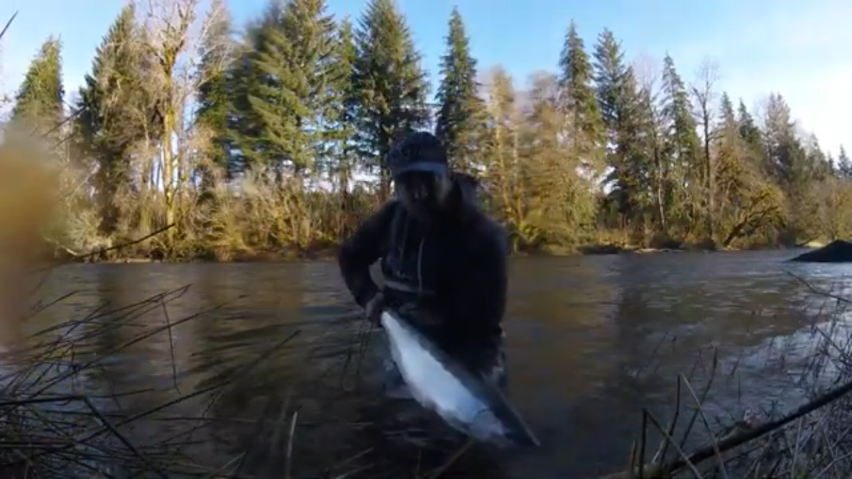 Nature’s Drift – Nature’s Drift